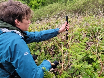 Putting up a Bat Detector | Alderney Wildlife Trust