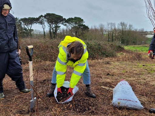 Tree Planting: 2,000 Trees for 2,000 People | Alderney Wildlife Trust