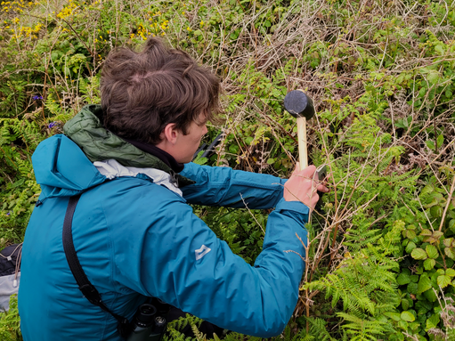 Putting up a Bat Detector | Alderney Wildlife Trust