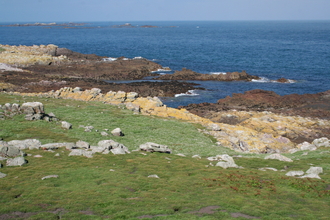 Wildlife Webcams | Alderney Wildlife Trust