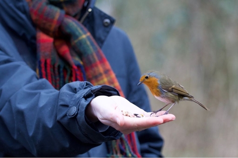 Wildlife Explorer | Alderney Wildlife Trust