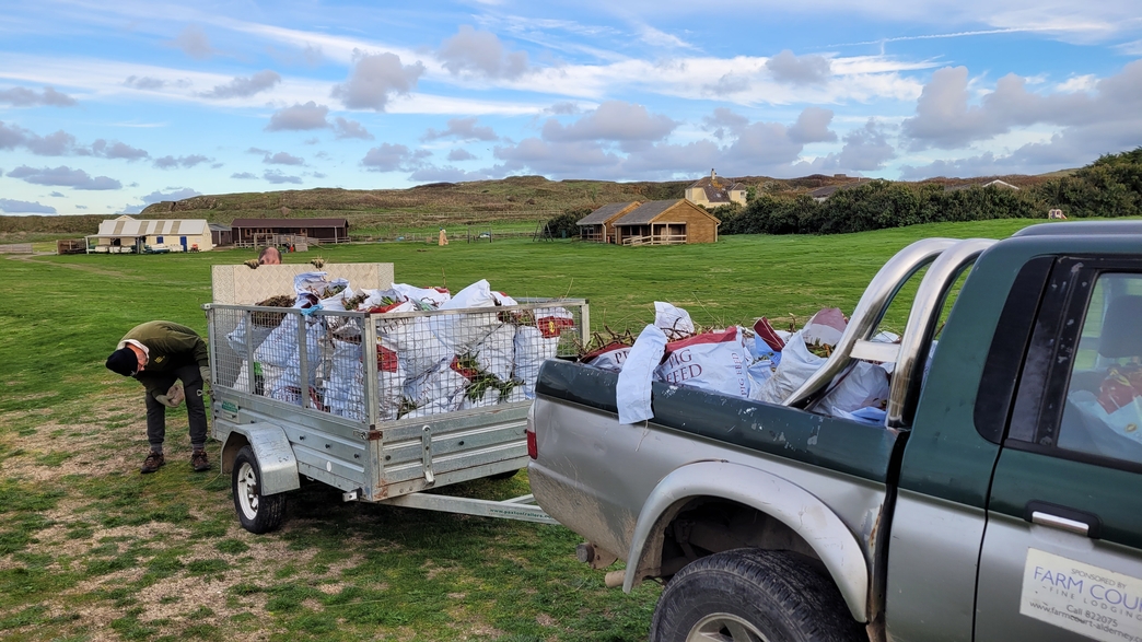 Sour Fig Removal with the Guernsey Conservation Volunteers | Alderney ...