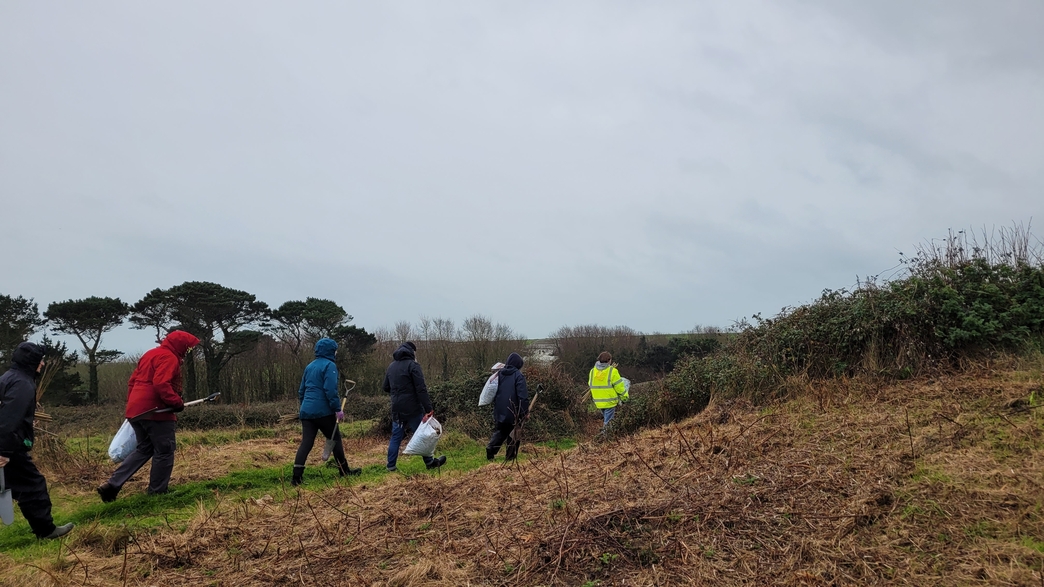 Tree Planting: 2,000 Trees for 2,000 People | Alderney Wildlife Trust