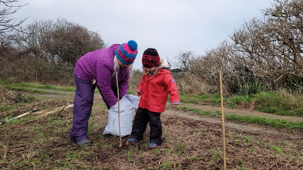 Tree Planting: 2,000 Trees for 2,000 People | Alderney Wildlife Trust
