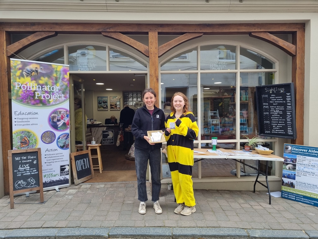 Pollinator Project | Alderney Wildlife Trust