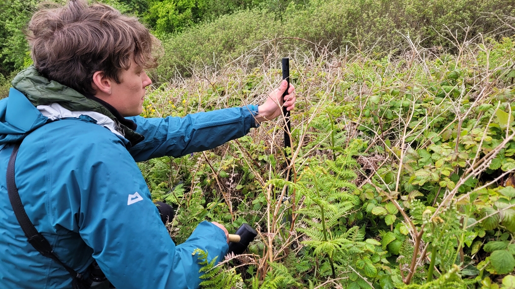 Putting up a Bat Detector | Alderney Wildlife Trust