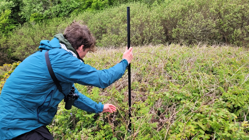 Putting up a Bat Detector | Alderney Wildlife Trust