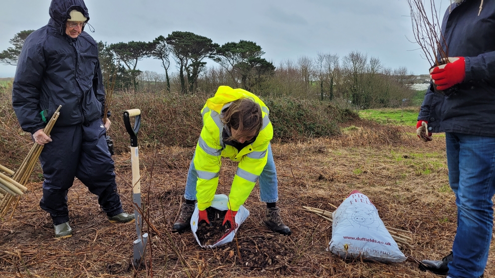 Tree Planting: 2,000 Trees for 2,000 People | Alderney Wildlife Trust