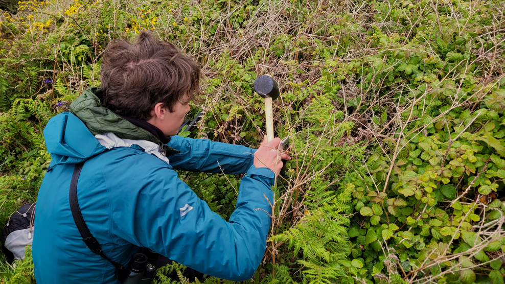 Putting up a Bat Detector | Alderney Wildlife Trust
