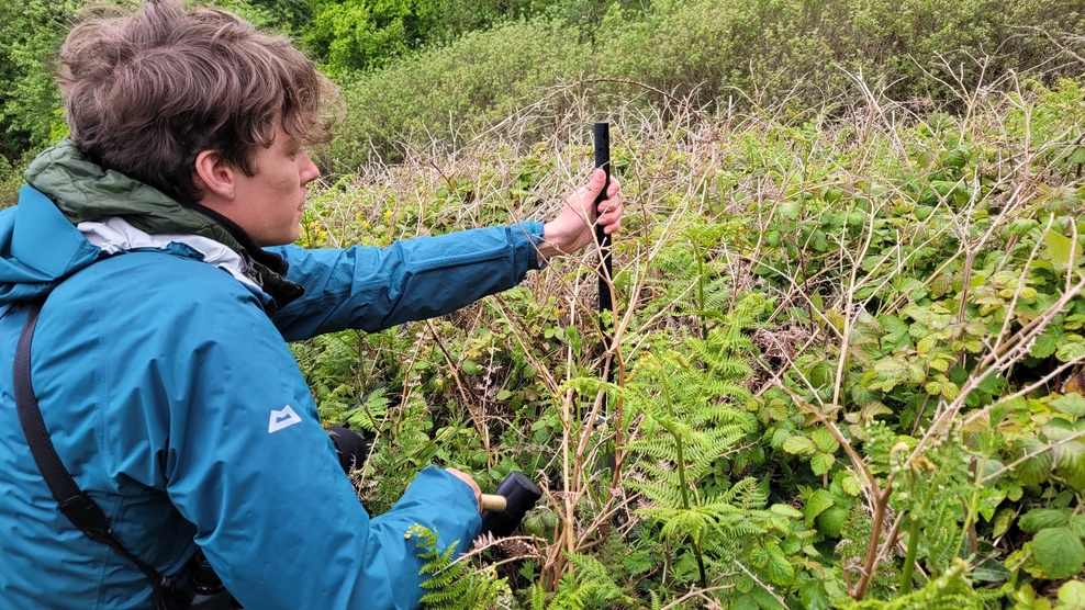 Putting up a Bat Detector | Alderney Wildlife Trust