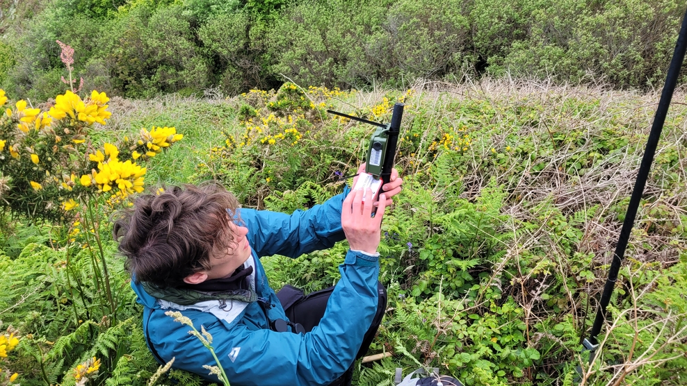 Putting up a Bat Detector | Alderney Wildlife Trust