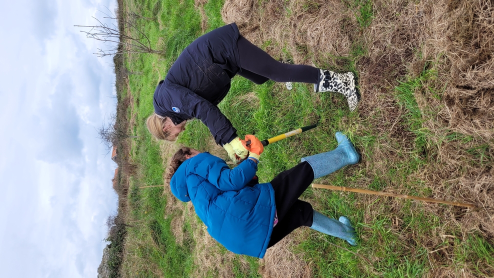Vote for us in the Conservation Awards! | Alderney Wildlife Trust