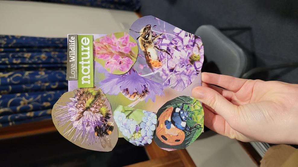 Pollinator Project | Alderney Wildlife Trust