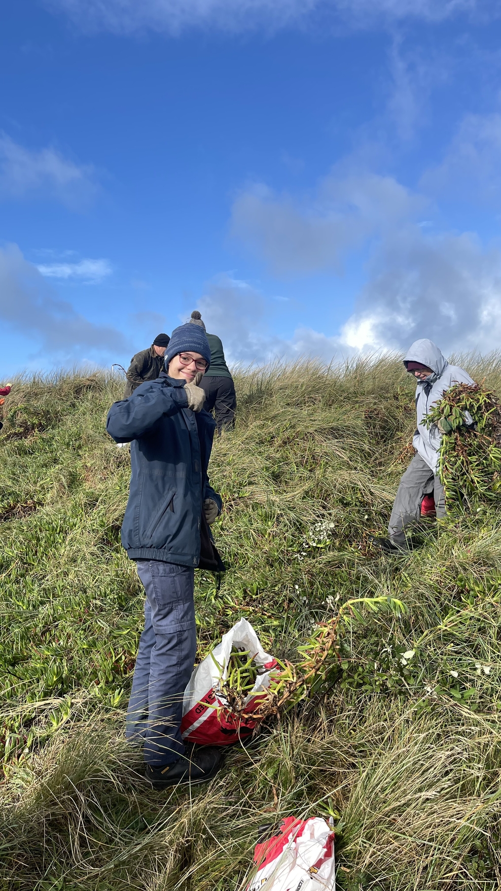 Sour Fig Pull with the Guernsey Conservation Volunteers and Alderney ...