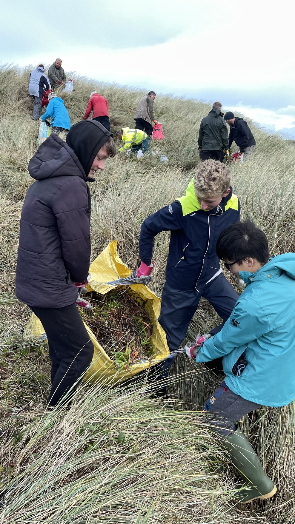 Sour Fig Pull with the Guernsey Conservation Volunteers and Alderney ...