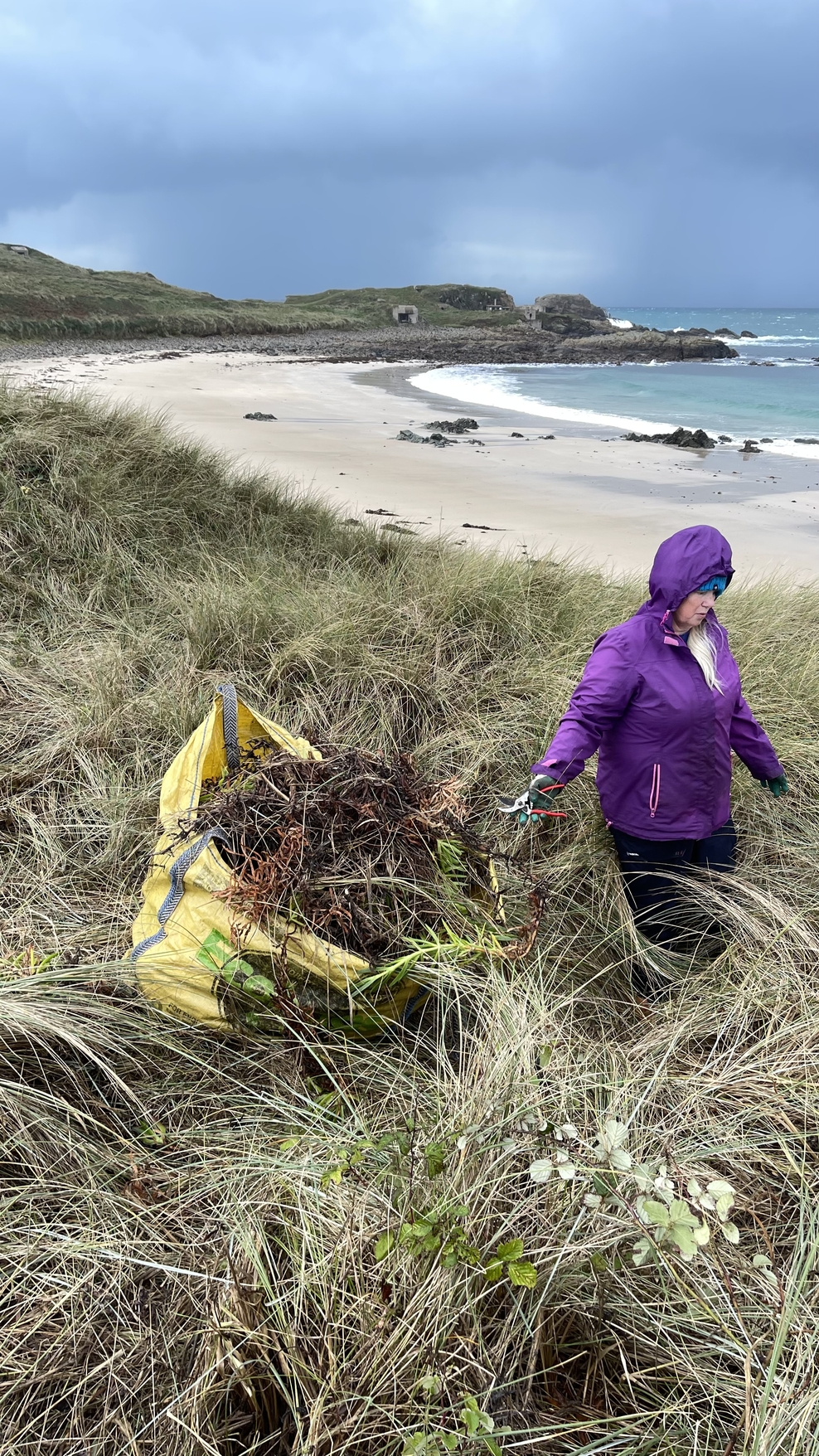 Sour Fig Pull with the Guernsey Conservation Volunteers and Alderney ...